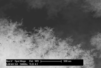 Images | Weld Group | UCSB Physics