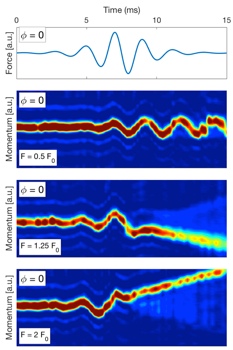 Images | Weld Group | UCSB Physics